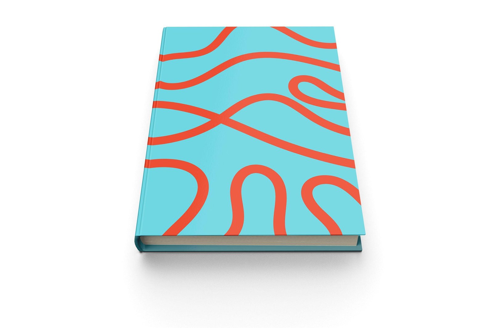 Hardcover notebook and sketchbook - A5 size orange lines in baby blue ...